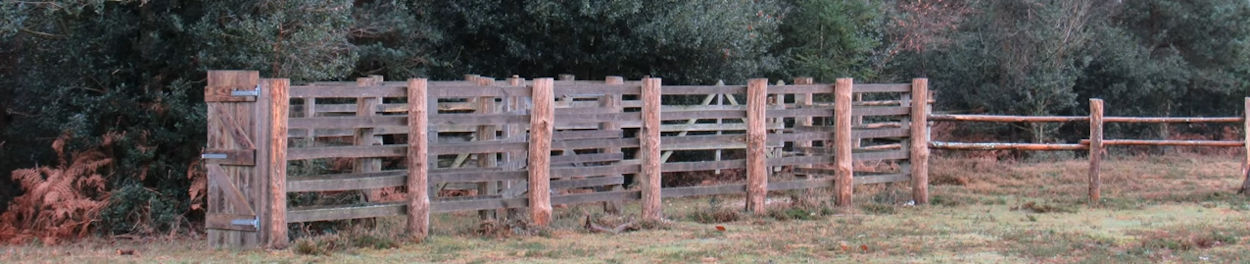 Acres Down – KnowNewForest