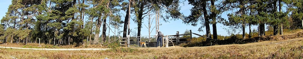 RAF Beaulieu – KnowNewForest