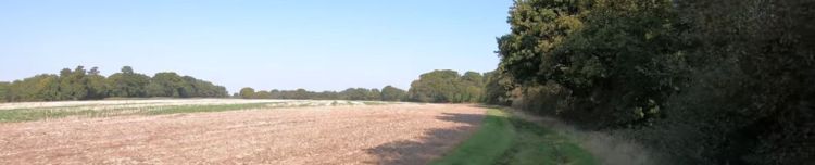 Sopley – KnowNewForest